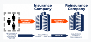 Reinsurance Companies: How They Work, Comparisons of the Top Reinsurers